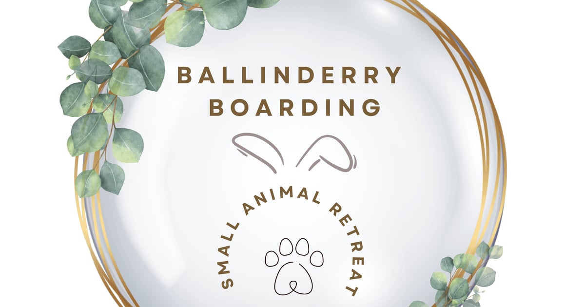 Small animal boarding Co Antrim Northern Ireland | Ballinderry Boarding ...
