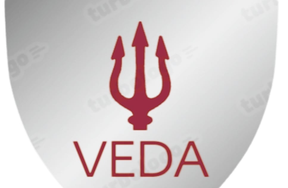 Personalized Insurance Solutions - veda | VEDA
