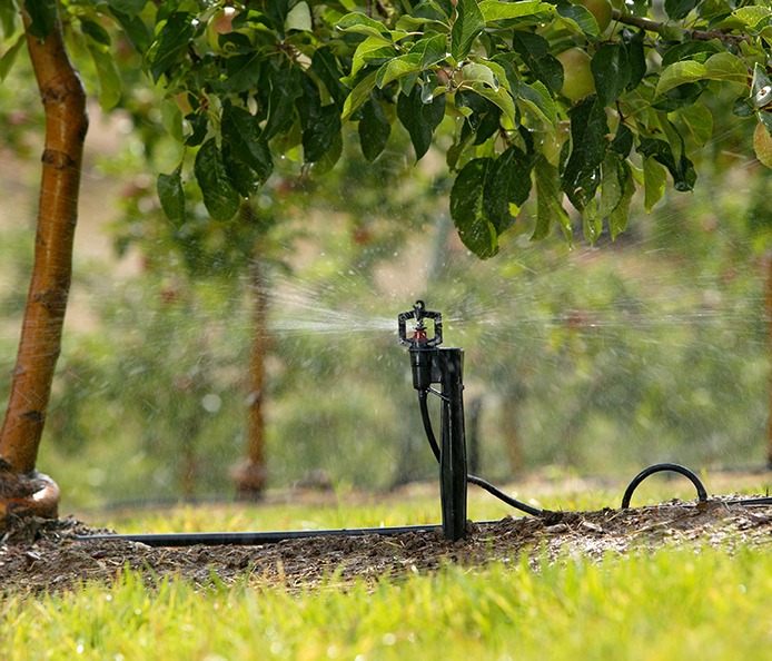 DIY Irrigation Systems: Creative Solutions for Efficient Watering How to Use Drip Irrigation ...