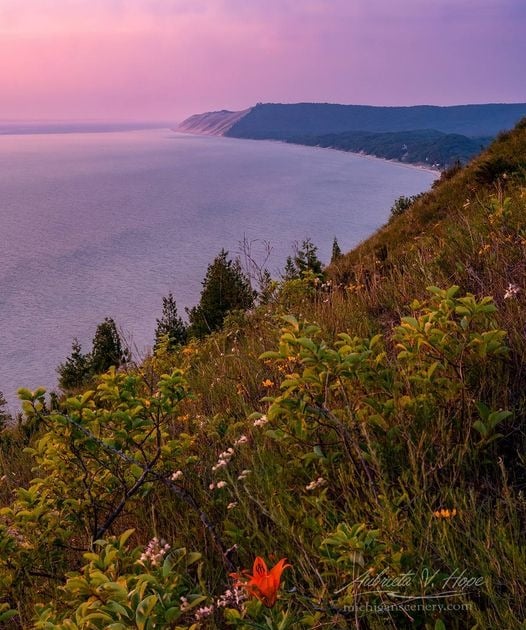 Susan Ratner Therapy - Collaborative Approach for Healing and Growth ...