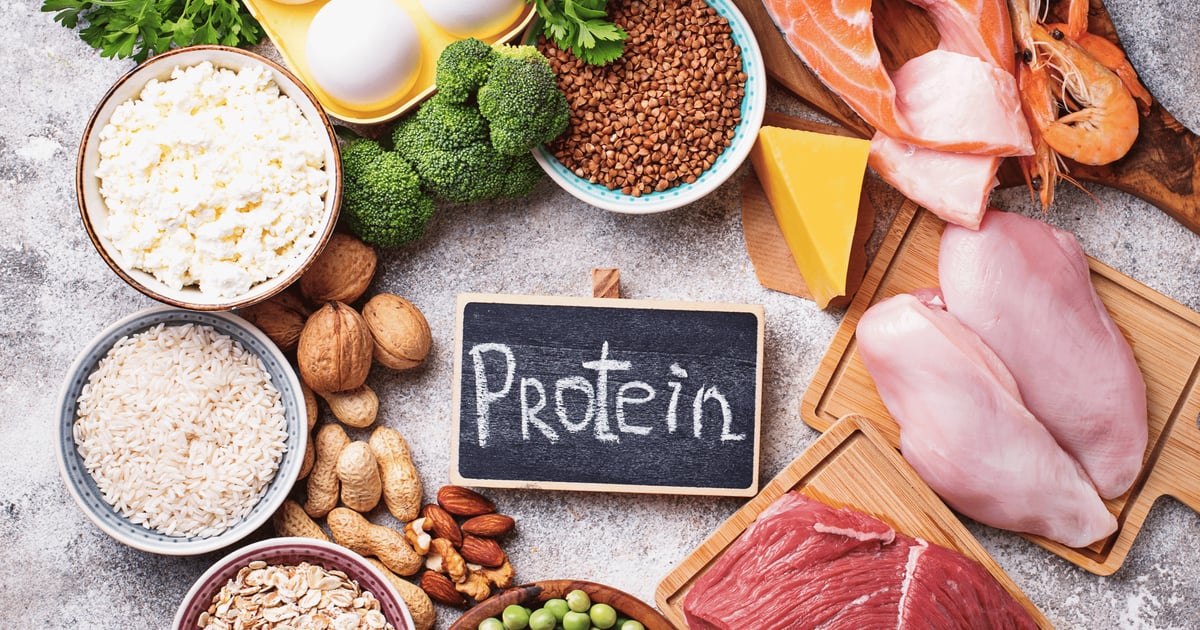 Protein: The Building Block of a Healthy Body | Protein-Spotter