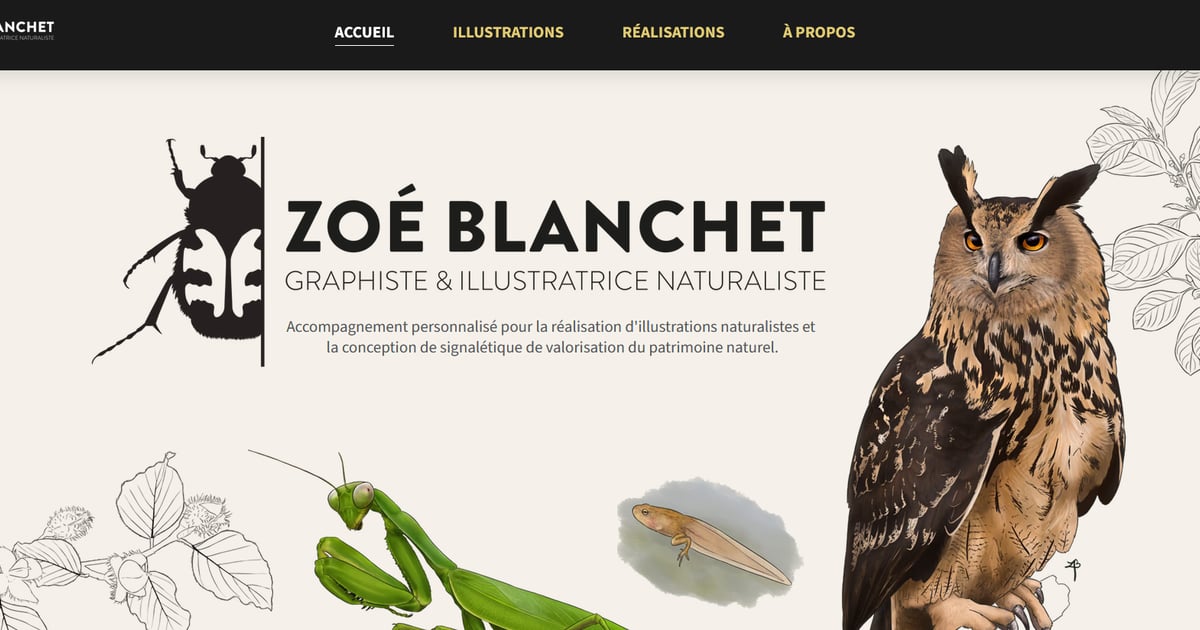 Zoé Blanchet illustratrice naturaliste | Zoé Blanchet - Graphiste et ...