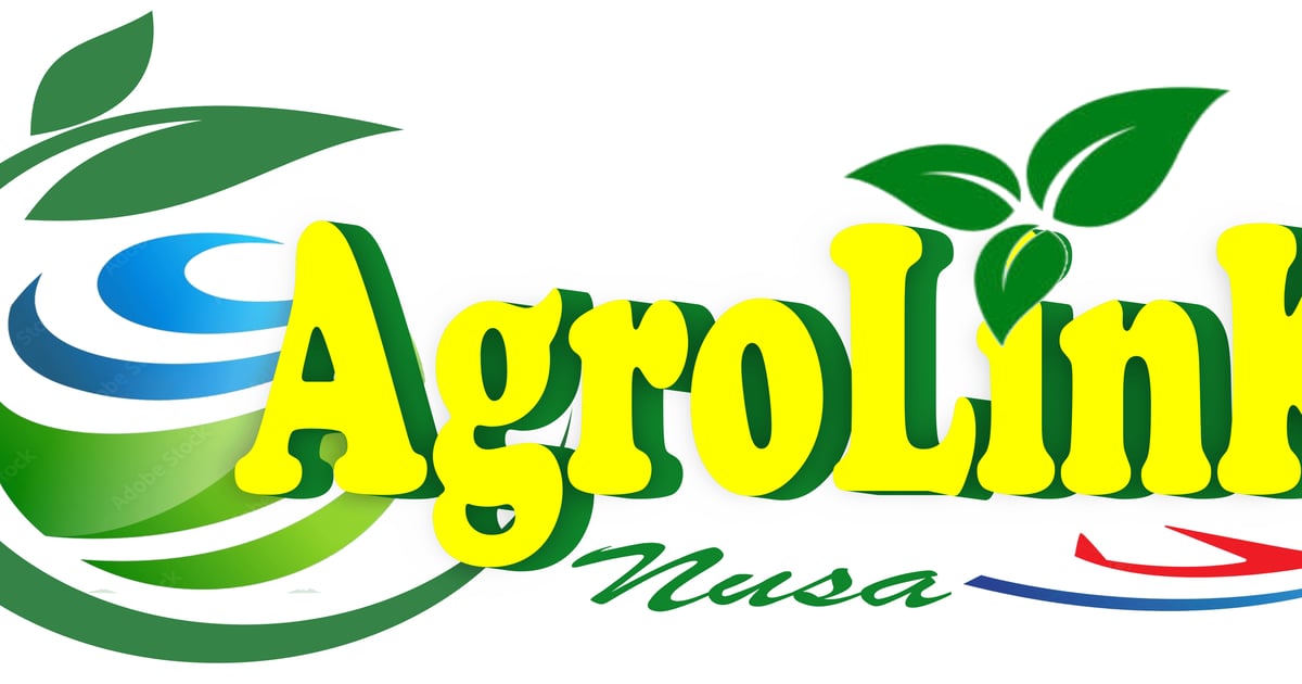 Agrolink: Trusted partner to provide the best agricultural commodities ...