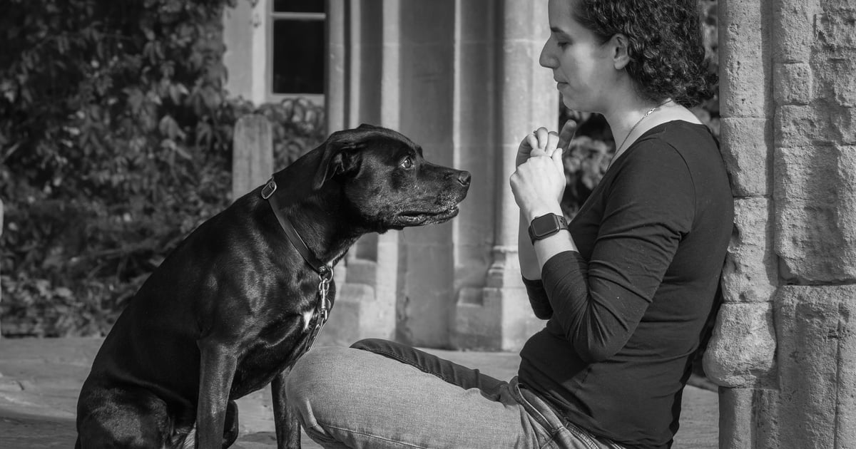 About Me - Scentwork Instructor | Scent Quest Dog Training and Enrichment