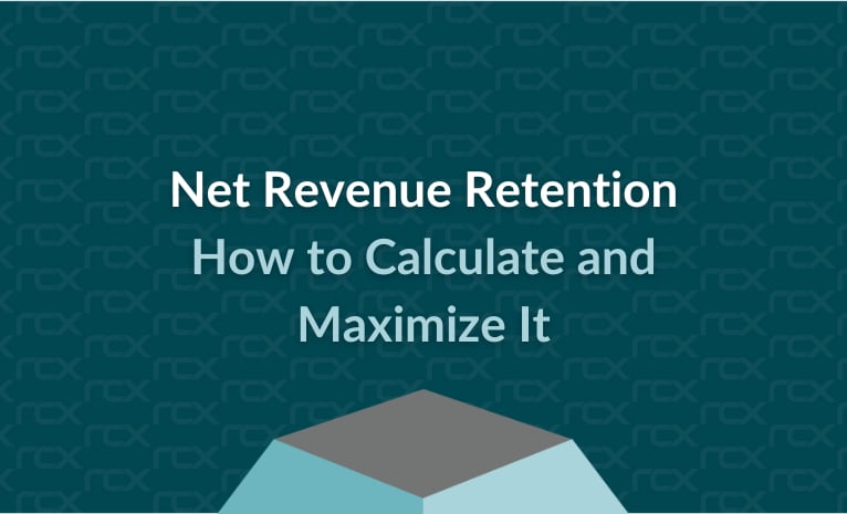 How to Calculate and Maximize Your NRR for Sustainable SaaS Growth ...