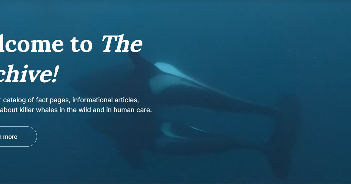 Comprehensive Orca Research and Conservation Insights | The Orchive