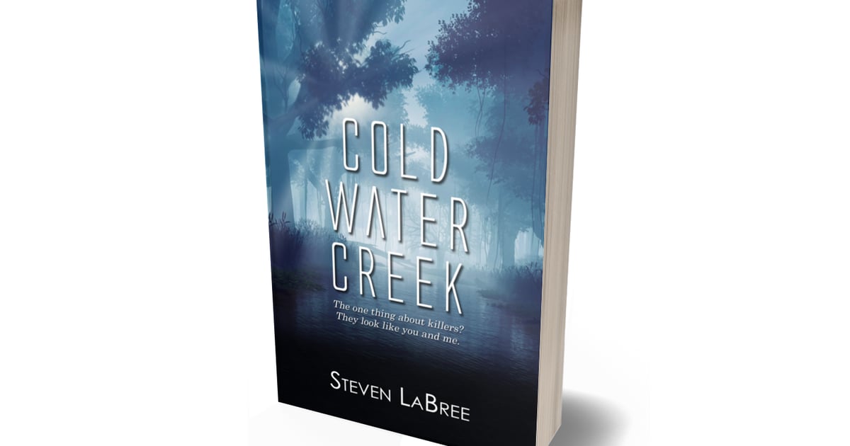 Captivating Mystery & Suspense Novels | Steven LaBree