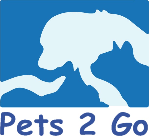 Pet Relocation Company in Singapore | Import and Export Services | AVS ...