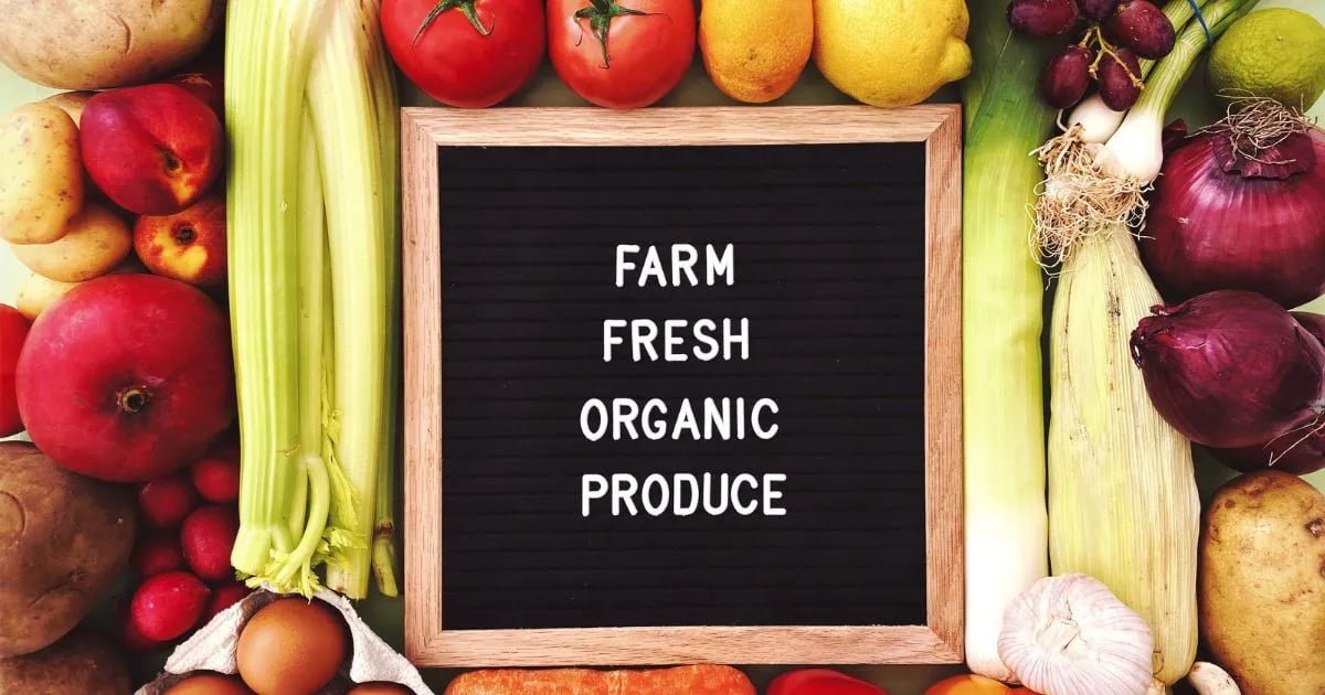 Top 10 fresh produce brands in the United Kingdom | Trade Time News