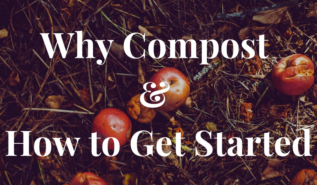 Why Compost & How to Get Started | Treekin Trove