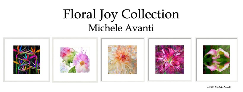 Product list | Michele Avanti