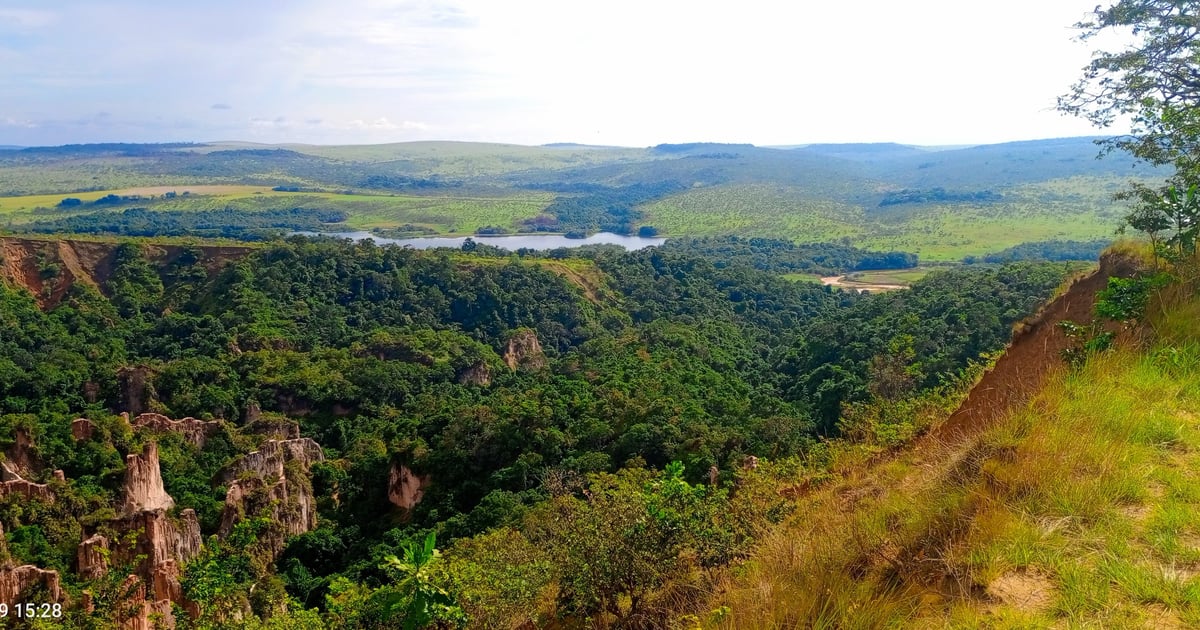 Découvrez le Gabon : Aventure, Nature et Culture | GreenLand Discovery ...