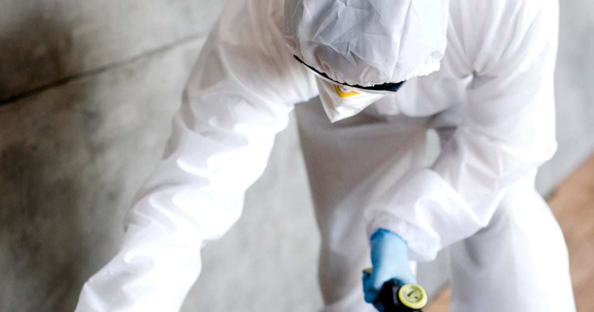 Top-Quality Mold Remediation Tucson, AZ | Tucson Mold Removal Services ...