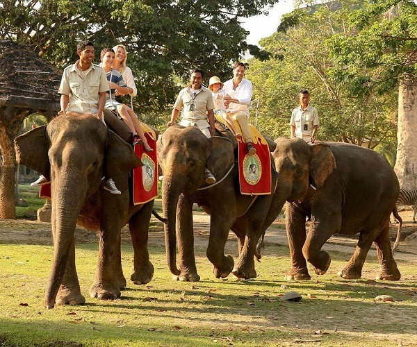 Elephant Back Safari Ride | Wonderful Bali Seminyak Tour