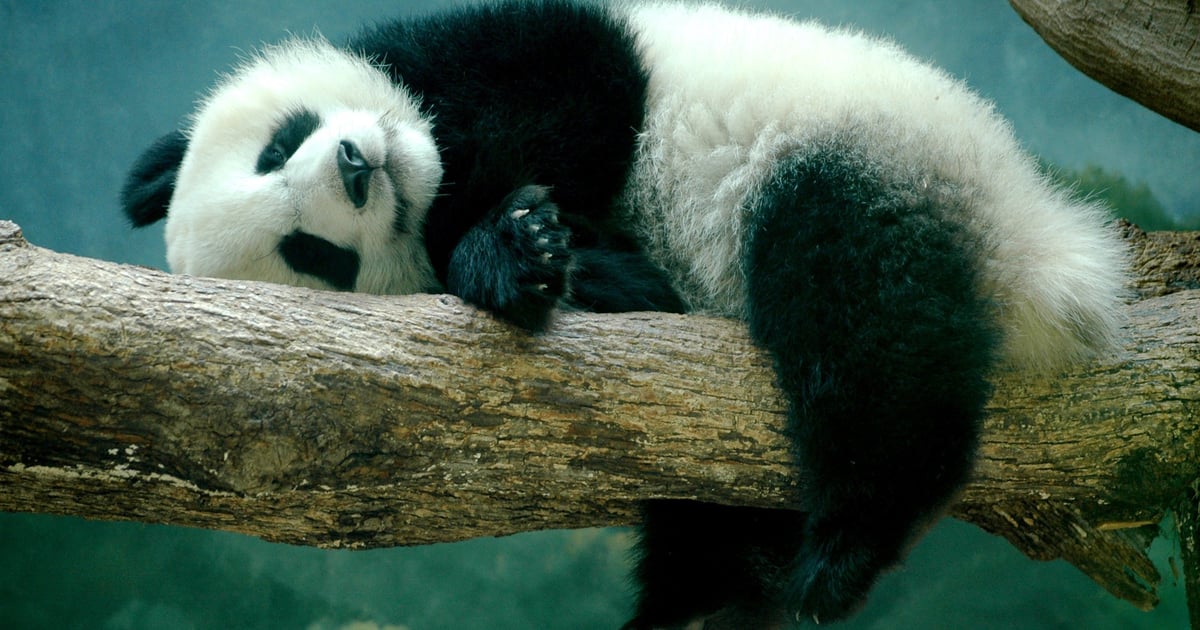 Pandas Cheat Sheet | Titinunt Kitrungrotsakul