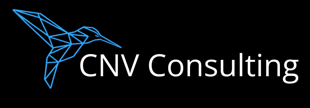 Optimizing and Managing IT Environments | CNV Consulting