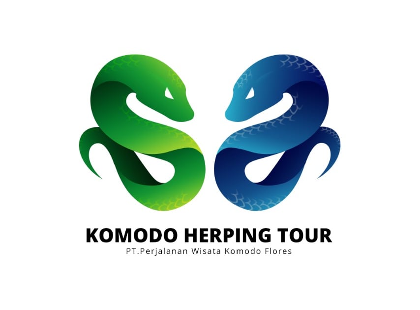 Epic Herping Adventure in Komodo National Park | Komodo Herping Tour