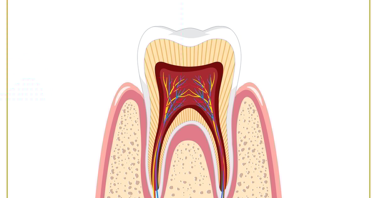 Best Endodontist in Kuwait - Professional Root Canal Specialist ...