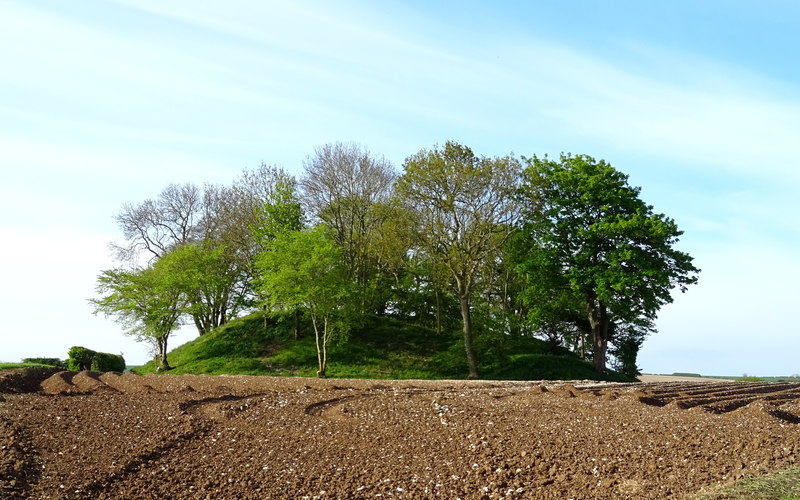 The Fairy Mythology of Willy Howe | East Wolds Community Website