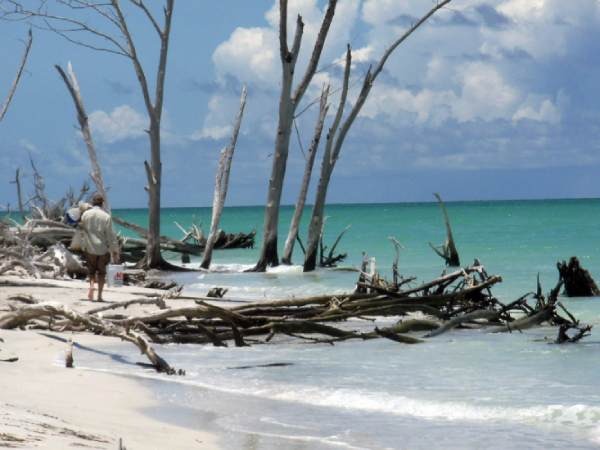Beer Can Island Longboat Key: Best Beaches For Relaxation In Anna Maria ...