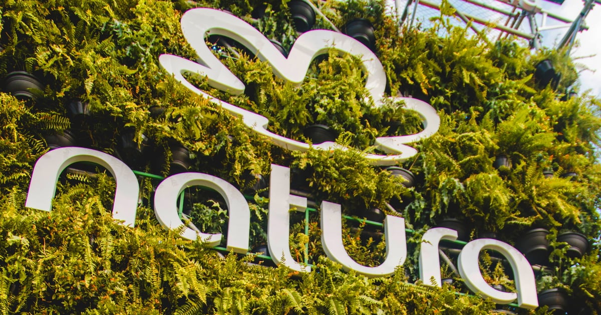 Natura: 5 conceitos de Branding da gigante brasileira para aplicar na ...