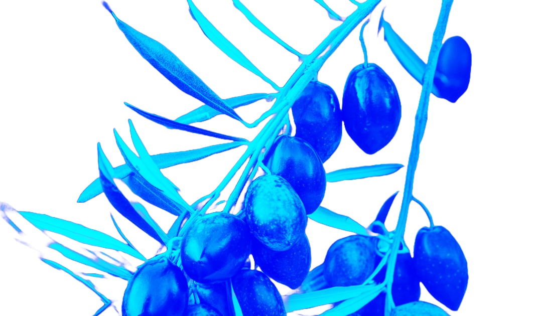 Delicious Greek Menu at Yamas Greek Eatery | Fresh Family Recipes ...