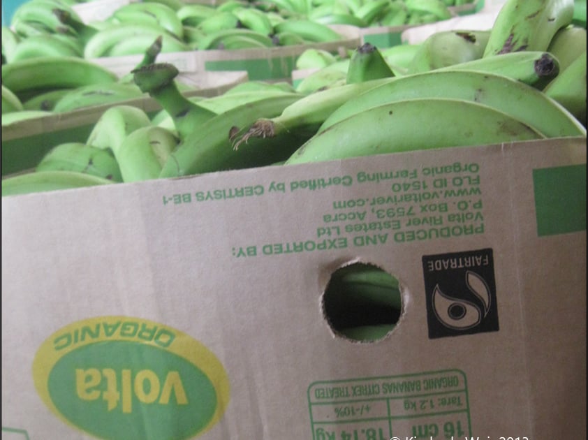 Clean Your Plate! Food Waste | Sustainable Planet