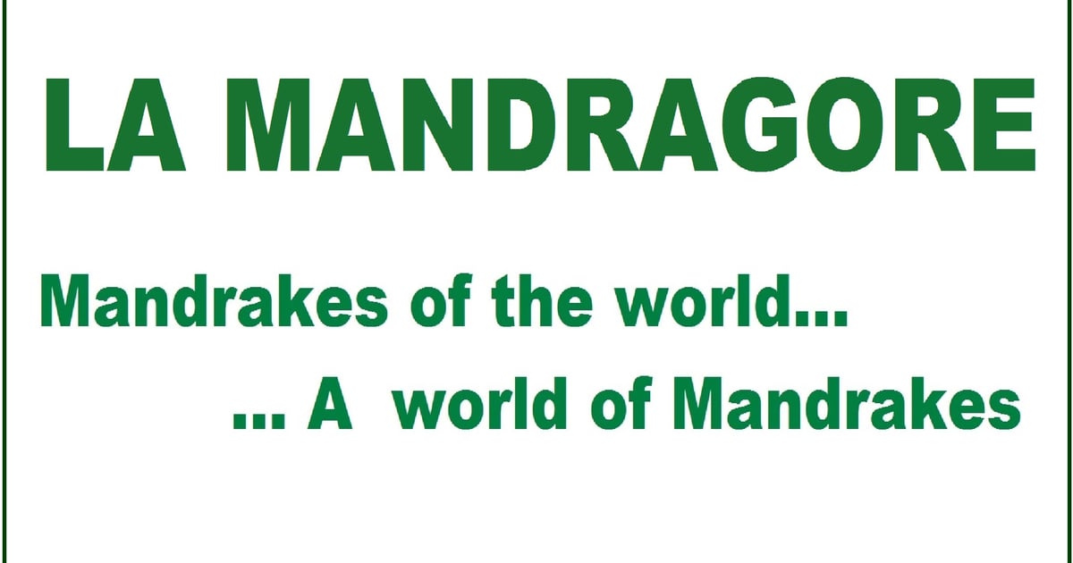 Mandragora officinarum - autumnalis -turcomanica -caulescens | La ...