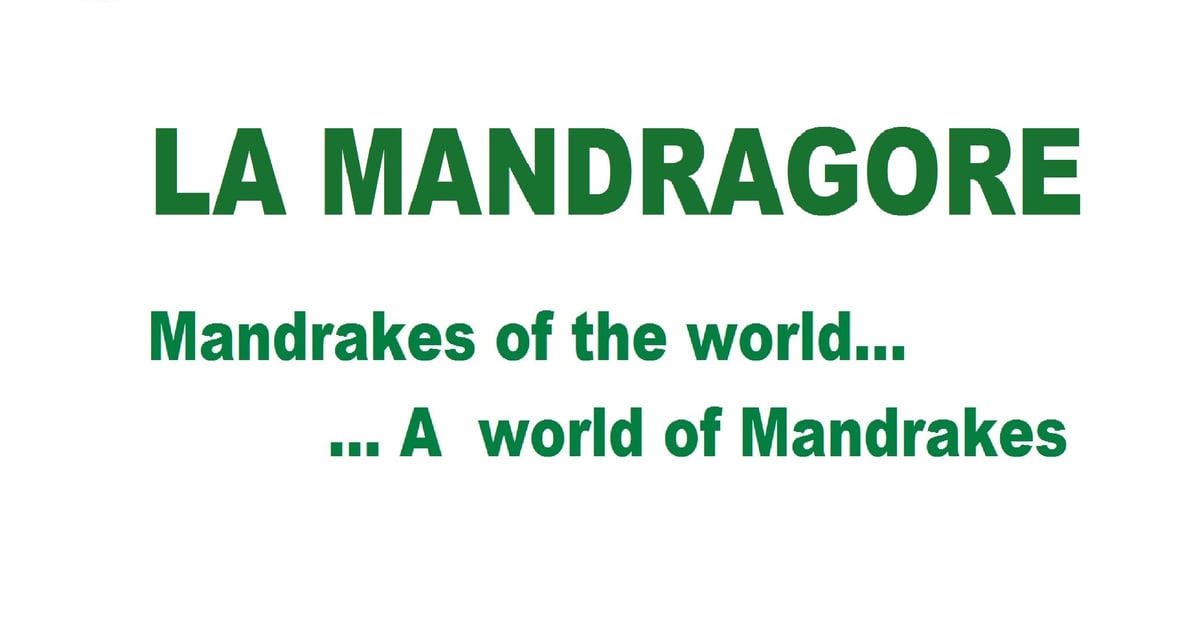 TOUT SAVOIR SUR LA MANDRAGORE | Mandragora, Mandrakes, Plante Médiévale ...