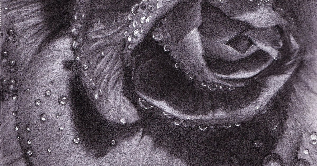 Custom Portraits by Mary Hall - Charcoal Art | Mary Hall Reflections