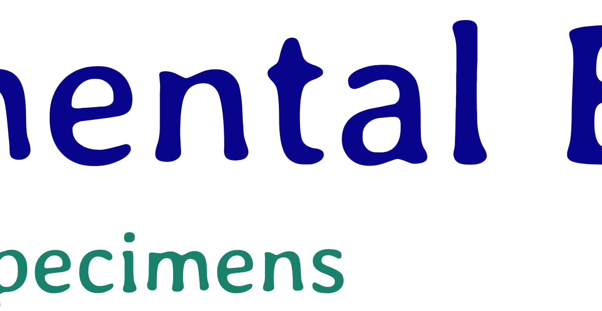 Mineral Specimens & Crystal Collection | Sentimental Energy