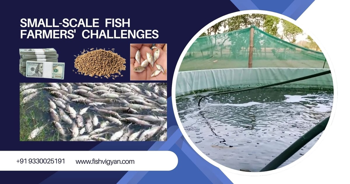 Challenges Faced by Small-Scale Fish Farmers | Fish Vigyan