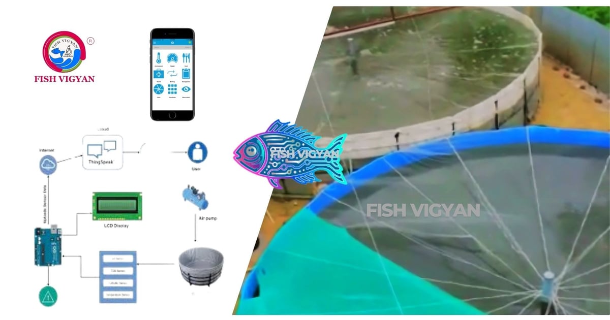 The Future of Fish Farming: Trends and Innovations | Fish Vigyan