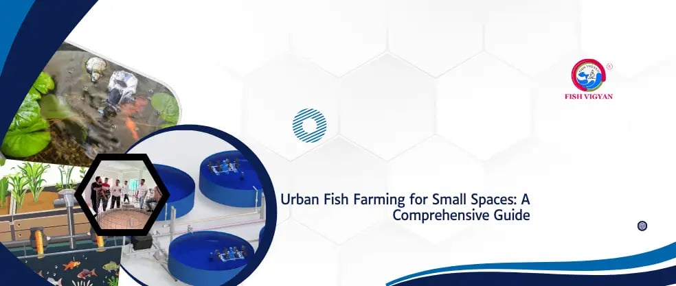 Urban Fish Farming for Small Spaces: A Comprehensive Guide | Fish Vigyan