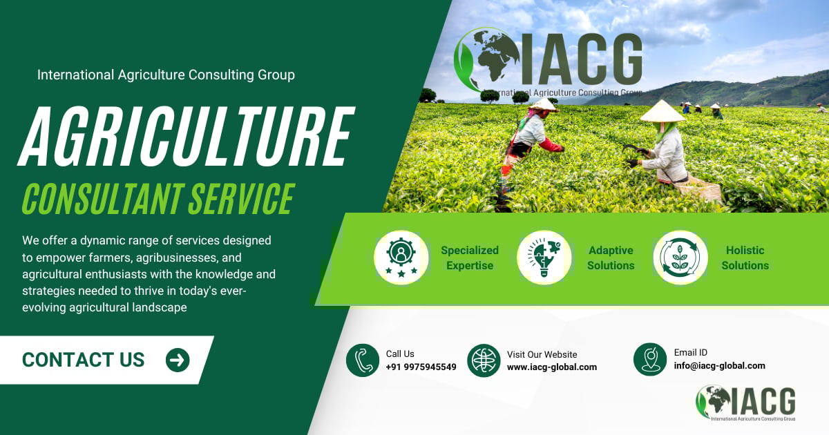 Global Agriculture Consultancy - Expertise in Agribusiness consulting ...