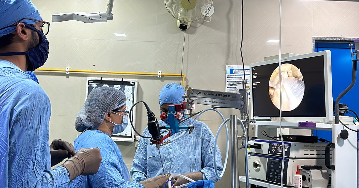 Expert Endoscopic Surgery Resources and Information | Endoscope holder