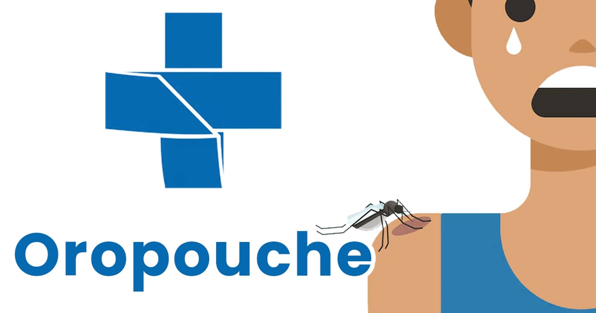 Doença de Oropouche: Sintomas e Tratamento | VIVA O SUS!