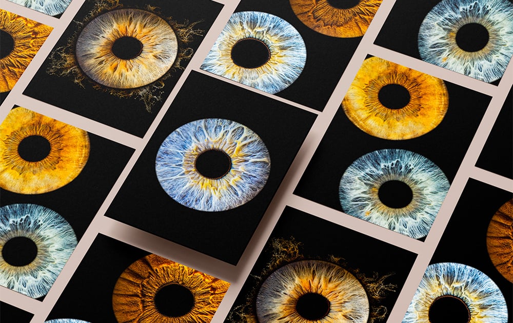 Découvrez la beauté unique de vos yeux avec Iris Capture Bayonne ...