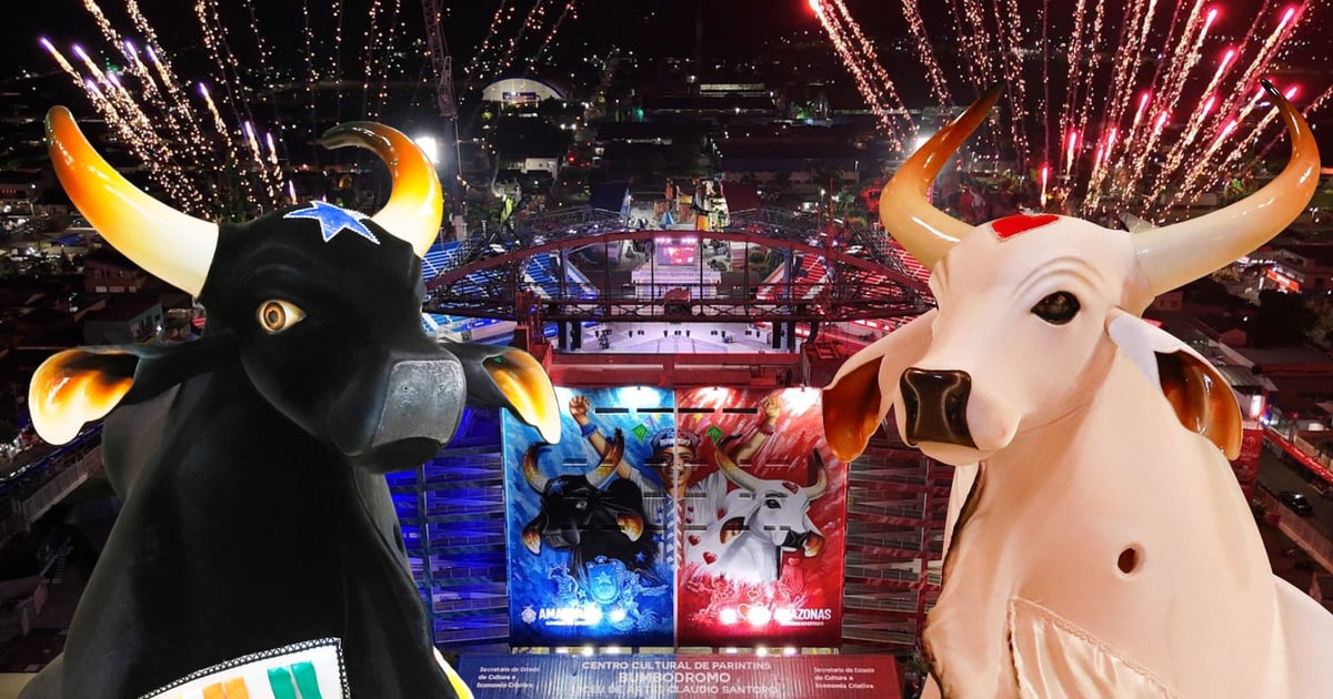 Boi Garantido: Tradição e Origem no Festival de Parintins | Espaço ...