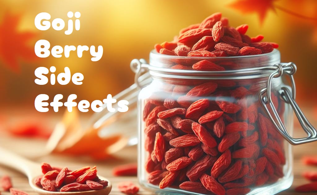 Goji Berries: Superfood or Side-Effect Sucker? Everything You Need to ...