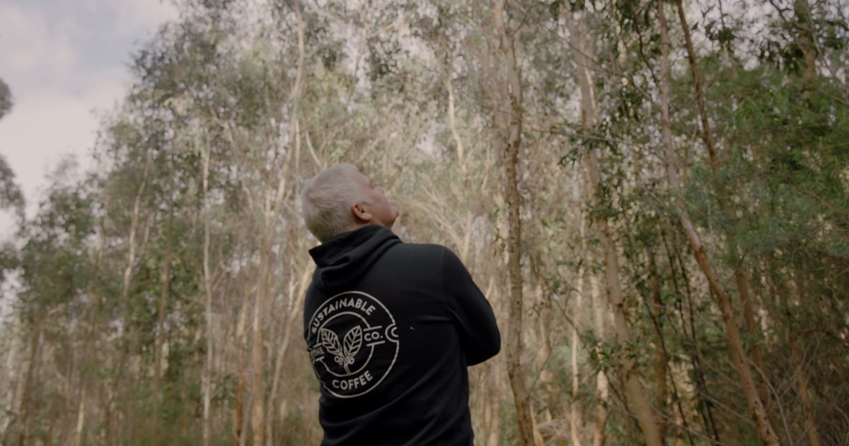 Australia’s most sustainable coffee set to help save our endangered ...