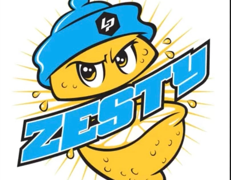 About Zesty's Writing & Translation Services: A Perfect Blend of ...