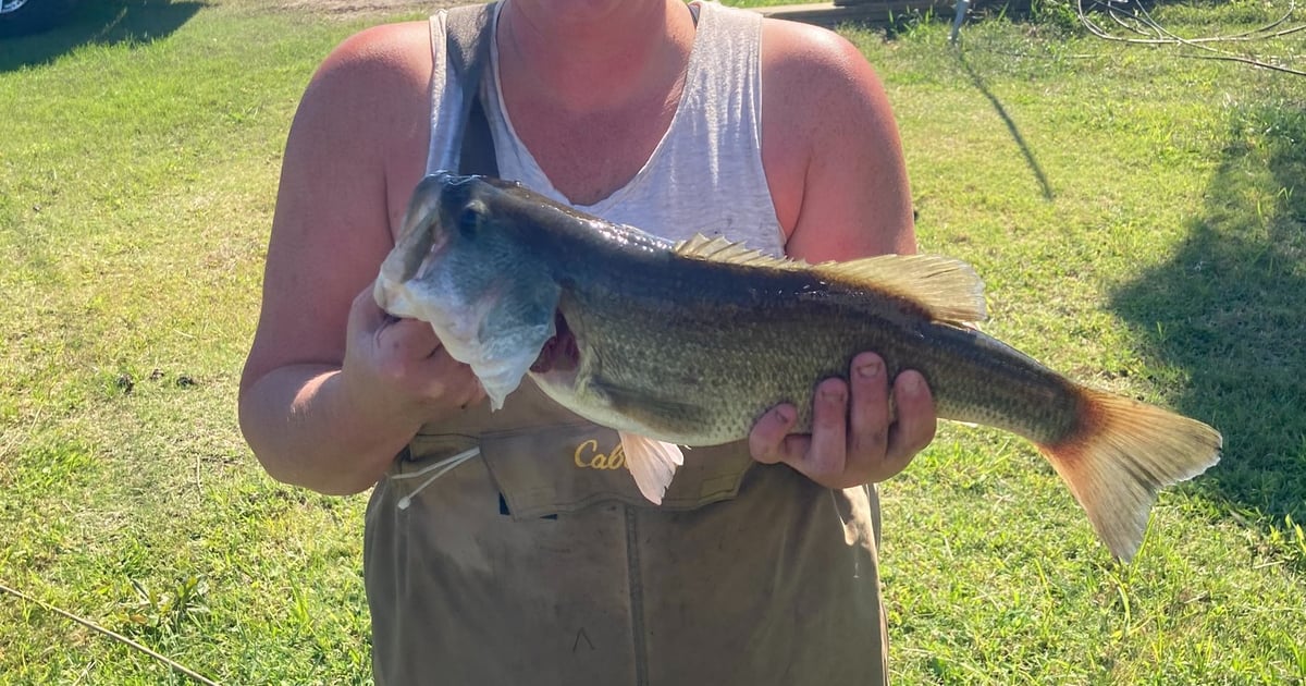 Meet Dr. Sara | Savy Aquatic Restoration