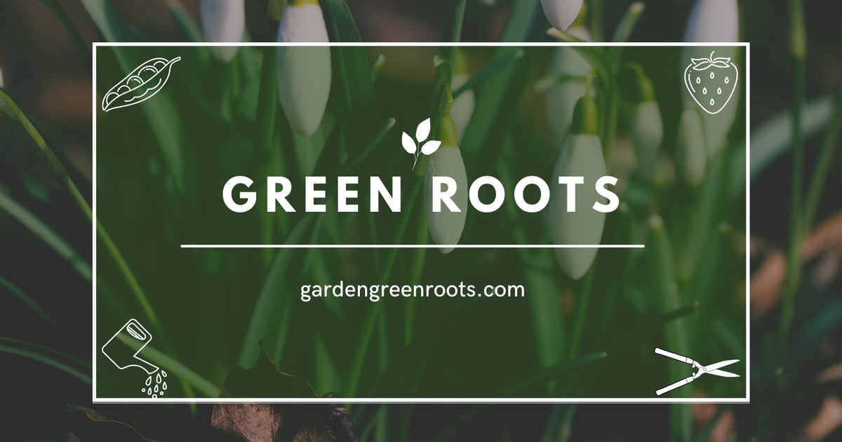 Green Roots - Fruit and Vegetable Gardening Community | Garden Green Roots