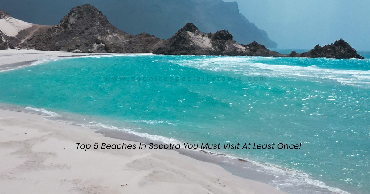 Top 5 Beaches In Socotra You Must Visit At Least Once! | Socotra ...