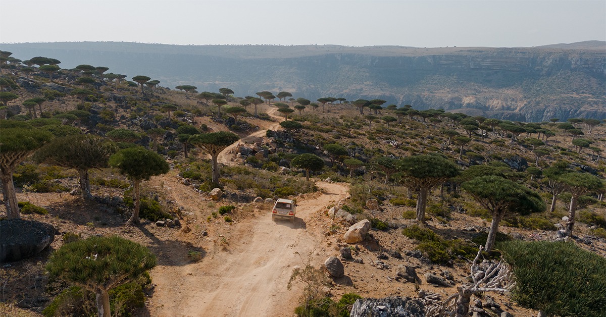 Why Is Diksam Plateau On Socotra Island A Must-Visit | Socotra ...