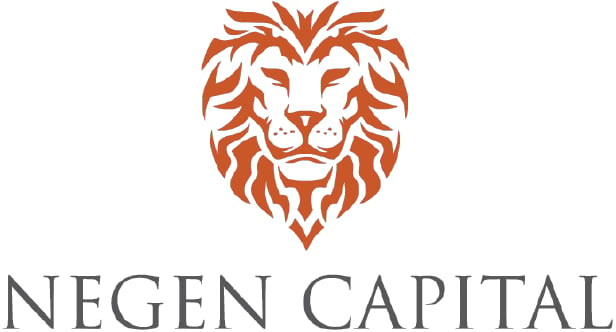 Negen Undiscovered Value Fund - SEBI Registered Category III AIF ...