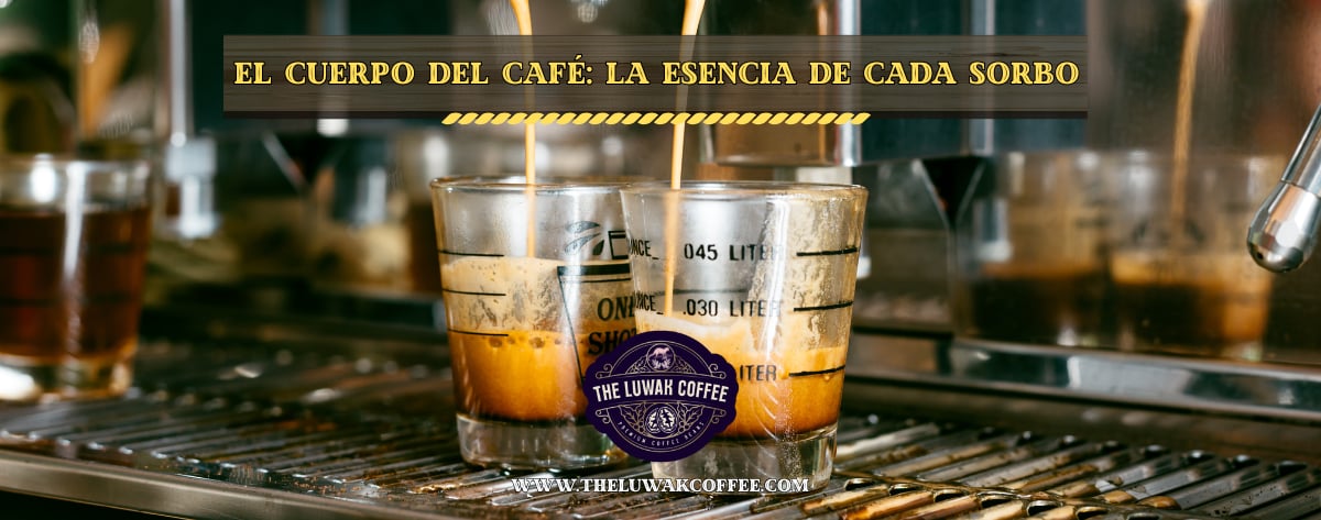 El cuerpo del café: La esencia de cada sorbo | THE KOPI LUWAK (LUWAK ...