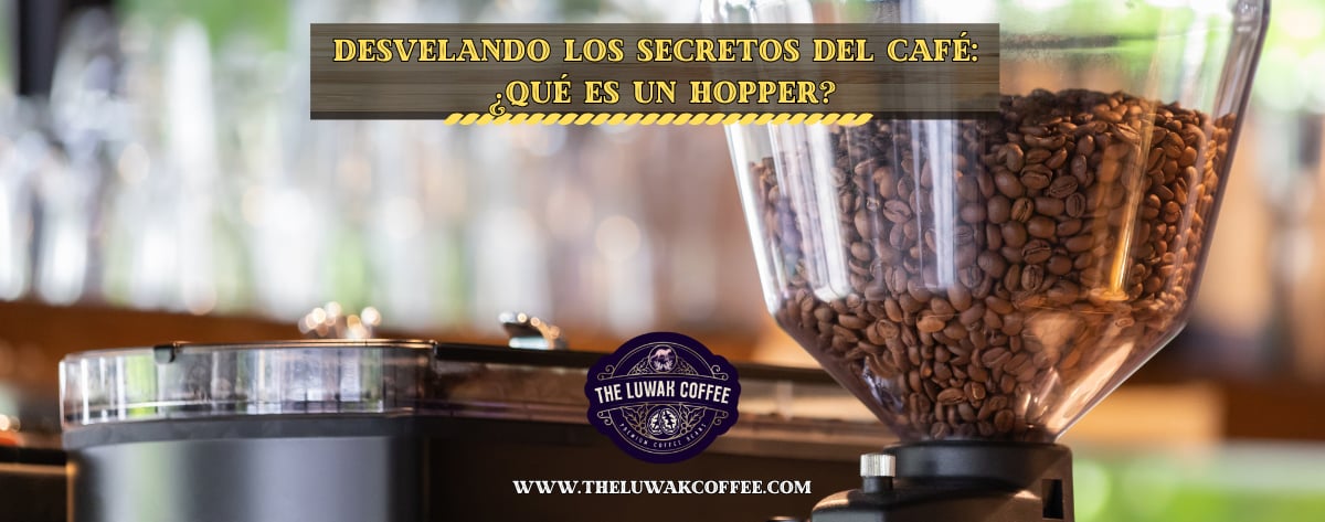 Desvelando los secretos del café: ¿Qué es un Hopper? | THE KOPI LUWAK ...