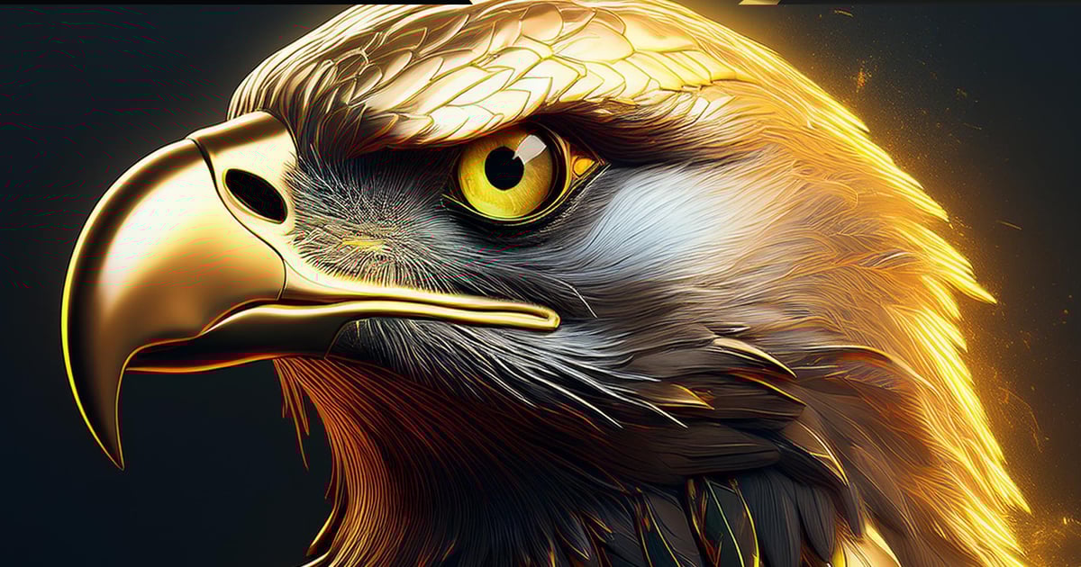 Guest Highlight | Motorcycle Club